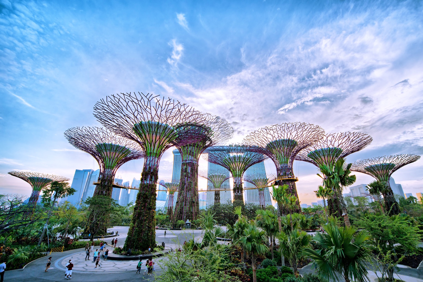 Gardens By The Bay Singapore Thaifootprint Gardens By The Bay Singapore Thaifootprint
